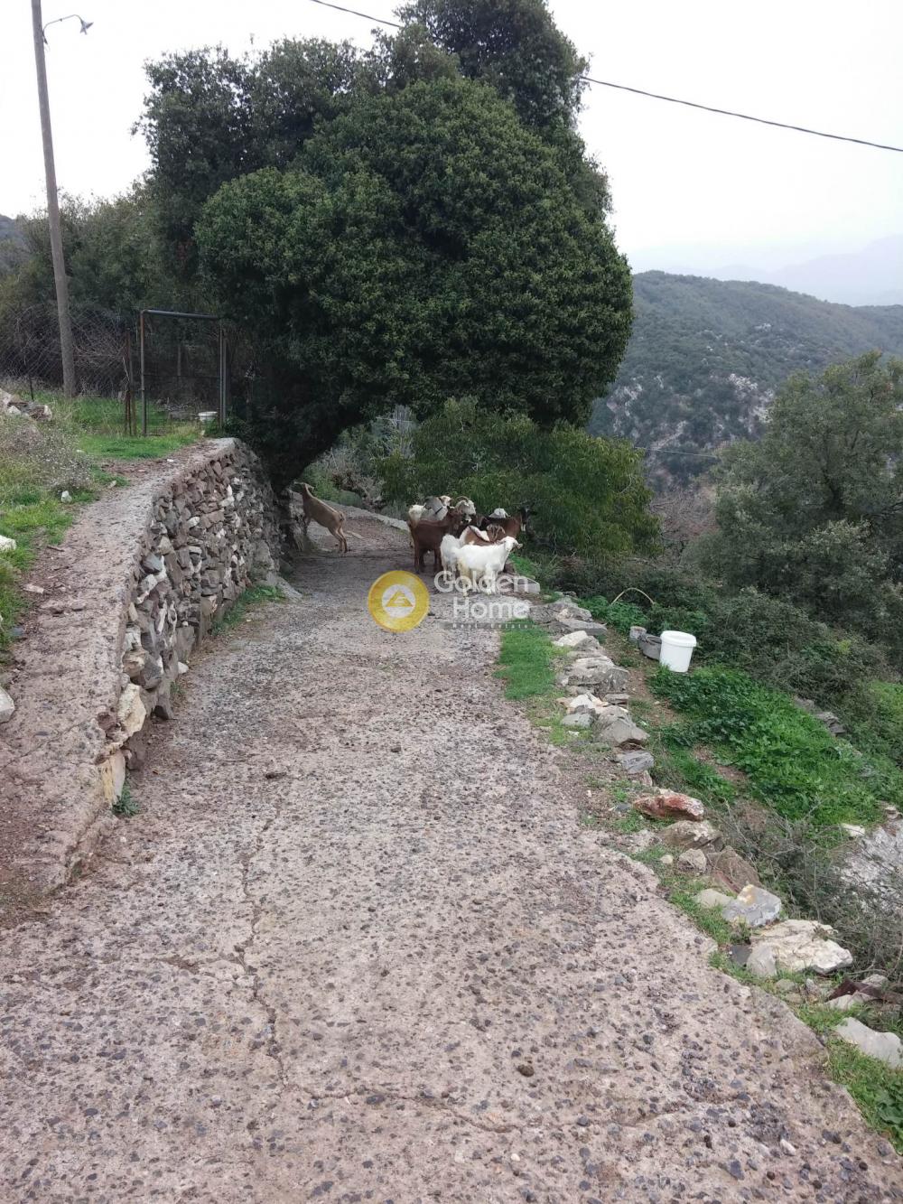 Πώληση, Αγροτεμάχιο 1454τ.μ. ΜΕΓΑΛΟΠΟΛΗ - Βάστας